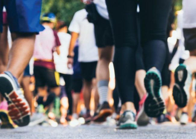 CFB Halifax base walks start this week | Trident Newspaper