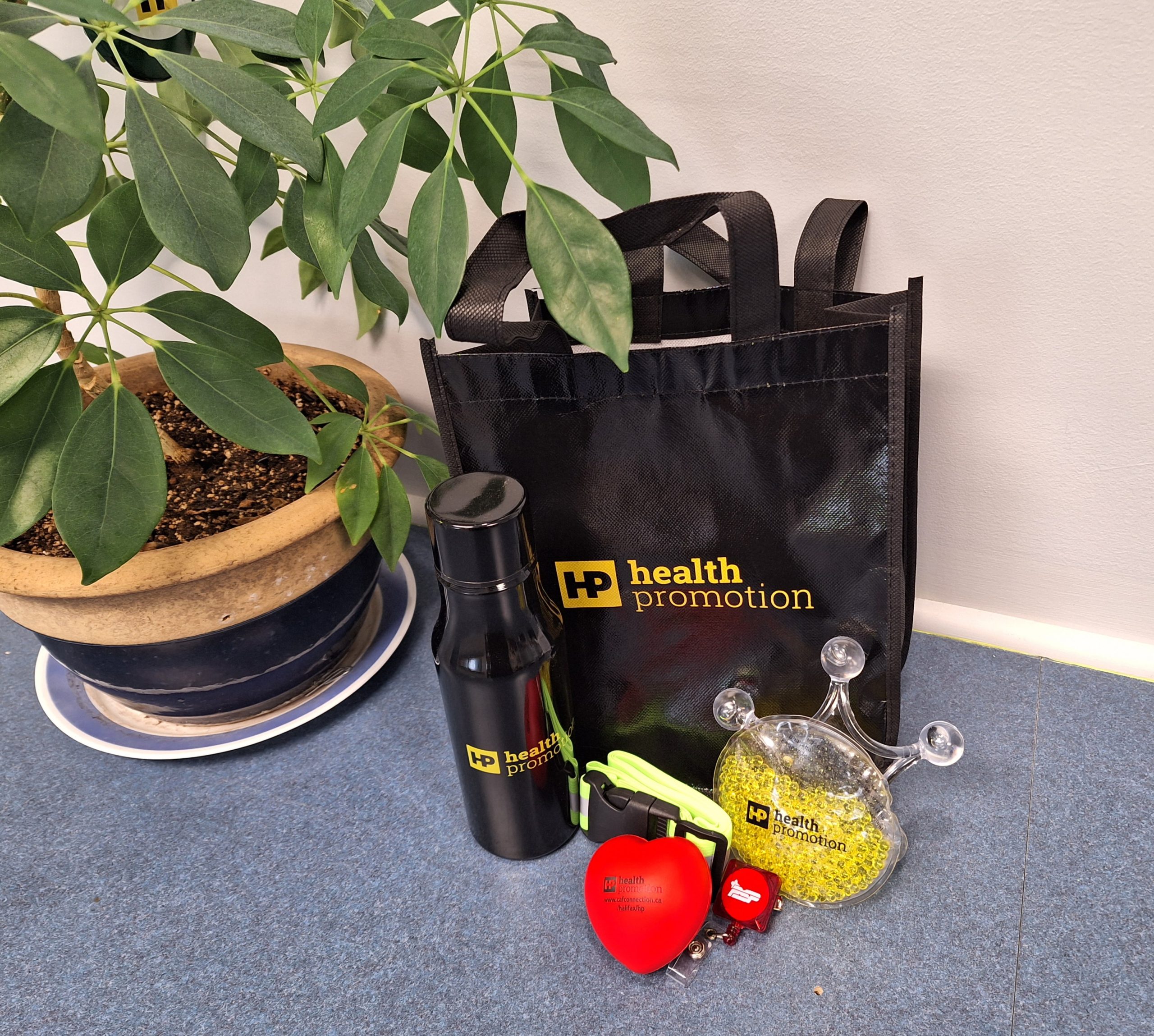 Health Promotion wants to hear from you! | Trident Newspaper