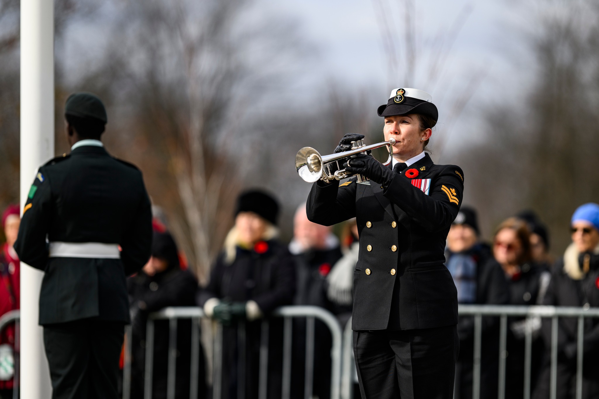 Remembrance Day Sentry Program marks 25th year with major expansion ...