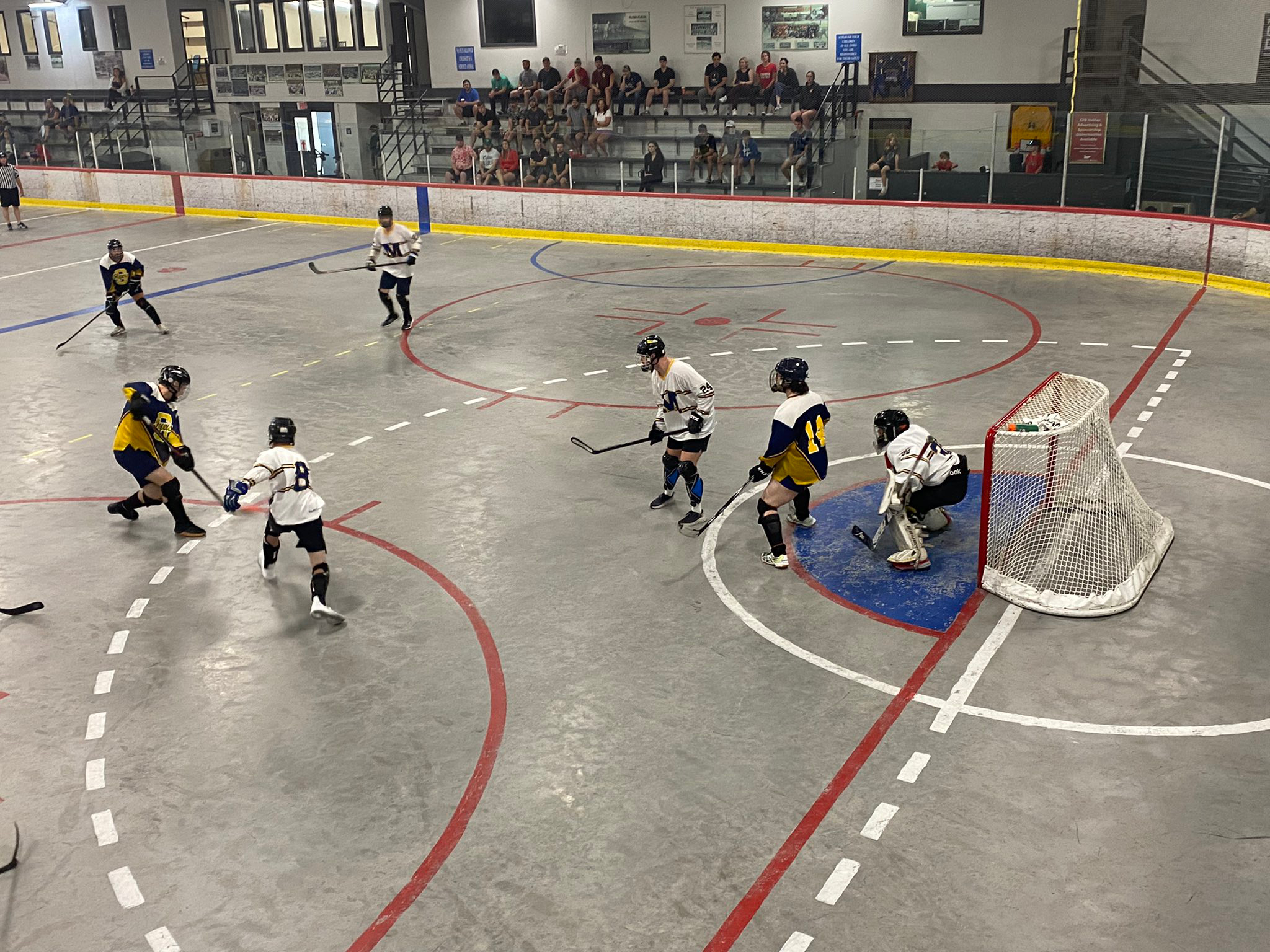 Halifax Mariners win ball hockey gold after hard-fought final | Trident ...