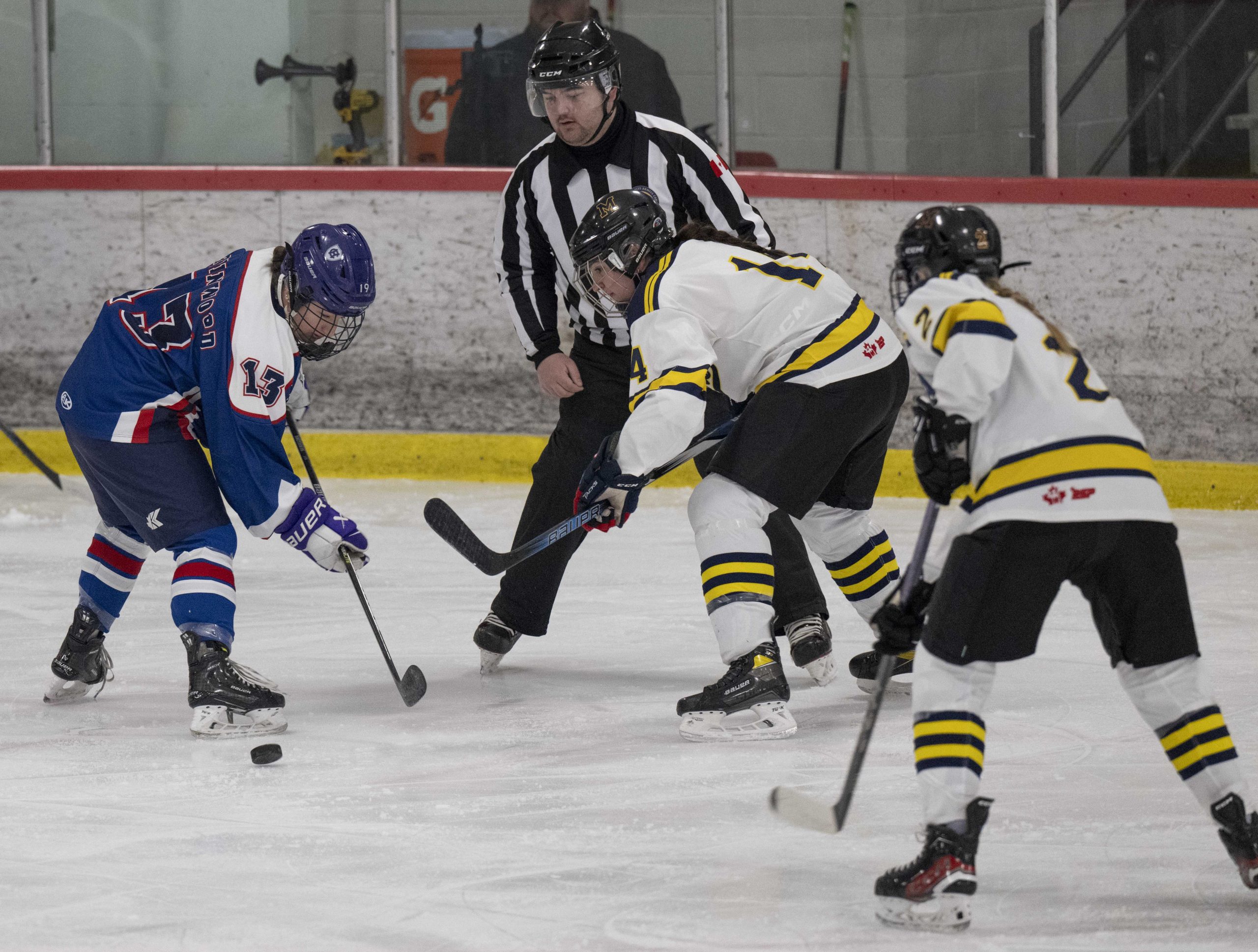 Halifax women headed to CAF hockey nationals | Trident Newspaper