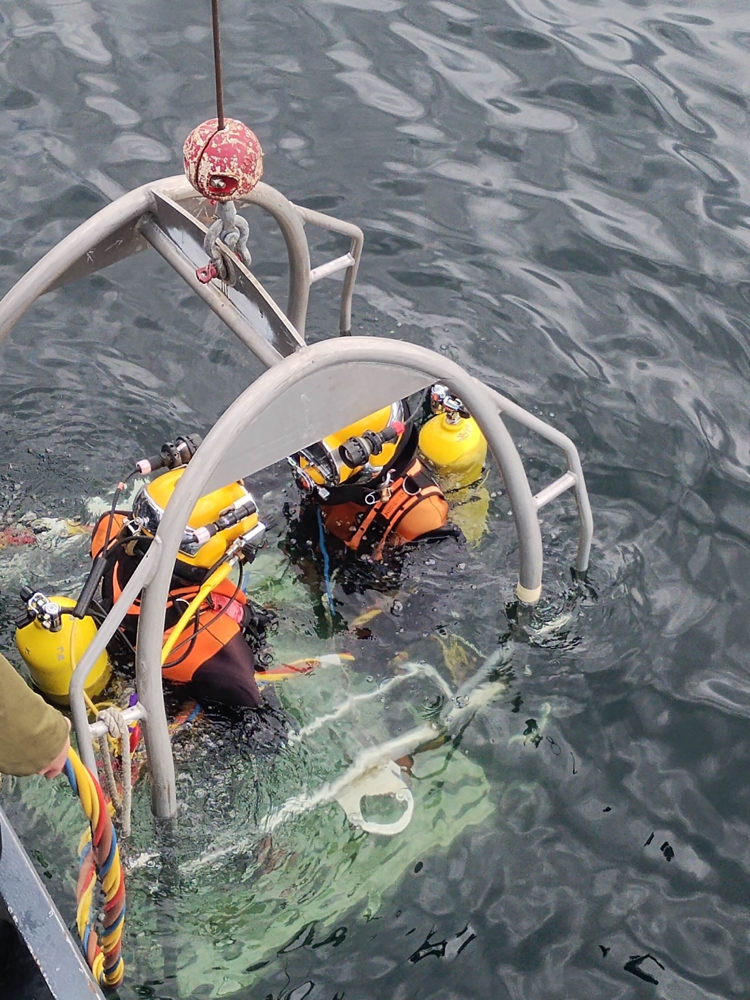 Hard Work and Heavy Seas: RCN Welcomes New Clearance Divers | Trident ...